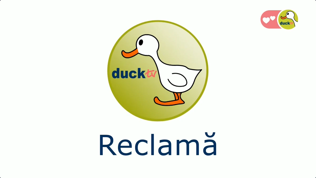 Duck TV | Logopedia | Fandom