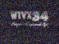 WTVX | Logopedia | Fandom