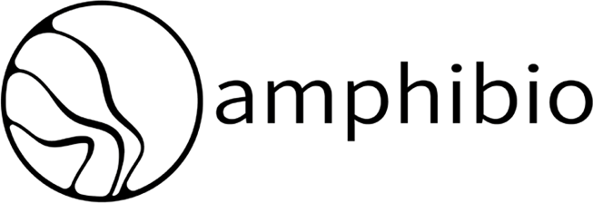 Amphico | Logopedia | Fandom