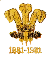 Welsh Rugby Union | Logopedia | Fandom