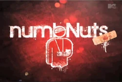 NumbNuts | Logopedia | Fandom