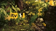 ITV1/November 2006 Idents | Logopedia | Fandom