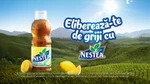 Nestea | Logopedia | Fandom