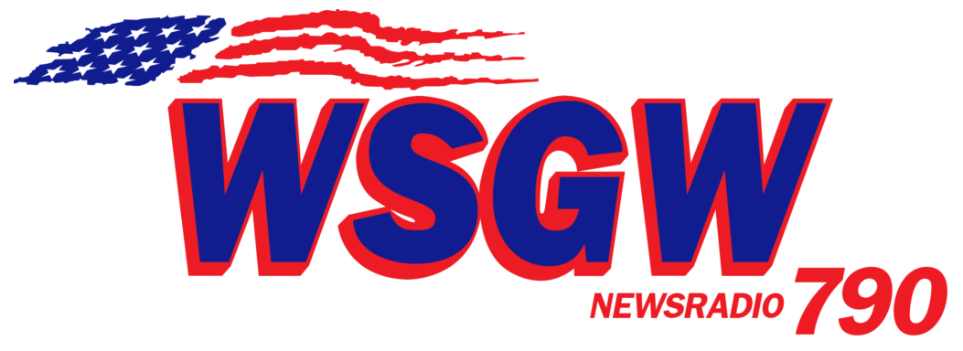 WSGW | Logopedia | Fandom