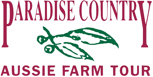 Paradise Country | Logopedia | Fandom