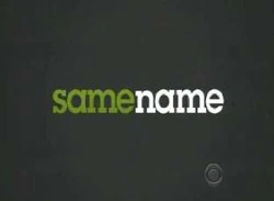 Same Name | Logopedia | Fandom