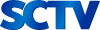 SCTV/Other | Logopedia | Fandom