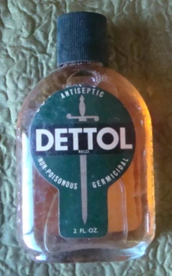 Dettol | Logopedia | Fandom