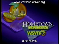 WSVN/Other | Logopedia | Fandom