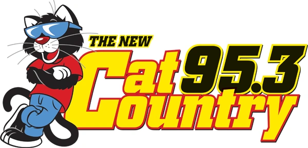 WALV-FM | Logopedia | Fandom