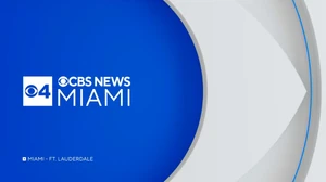 WFOR-TV/News | Logopedia | Fandom