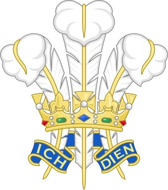 Merthyr Town | Logopedia | Fandom