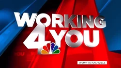 Wsmv Logo