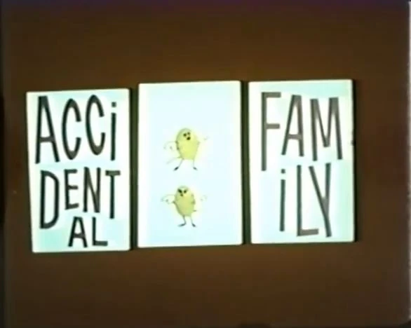Accidental Family | Logopedia | Fandom