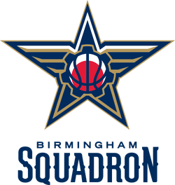 Laketown Squadron | Logopedia | Fandom