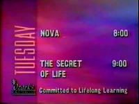 KOZK | Logopedia | Fandom