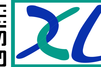 Xl Axiata Logo Image Download Logo Logowikinet Toshiba Logo, Image,