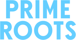 Prime Roots | Logopedia | Fandom