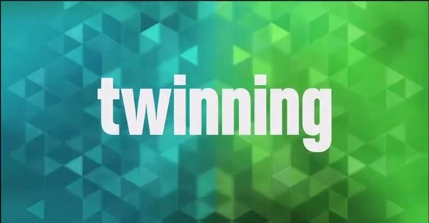 Twinning | Logopedia | Fandom