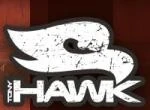 Tony Hawk (clothing brand) | Logopedia | Fandom