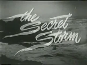 The Secret Storm | Logopedia | Fandom