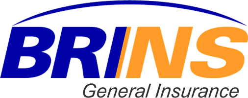 BRI Insurance | Logopedia | Fandom