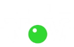 NTV (Russia) | Logopedia | Fandom