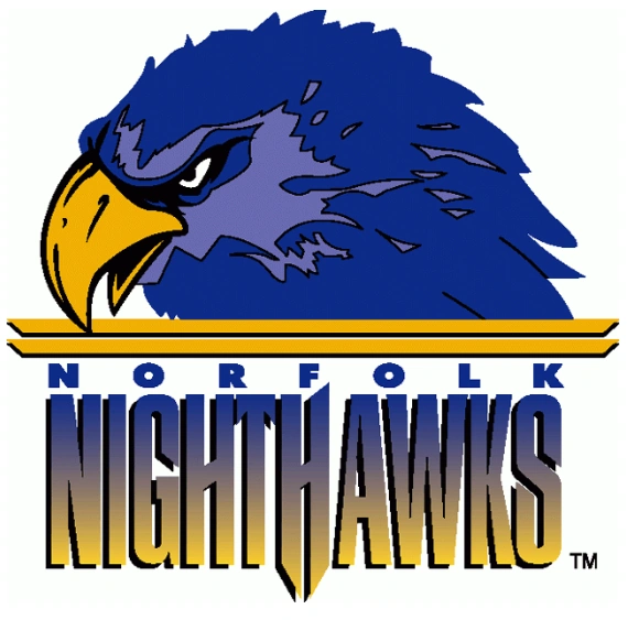 Norfolk Nighthawks | Logopedia | Fandom