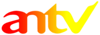 Antv/Other | Logopedia | Fandom