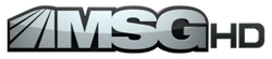 MSG Network/Logos variantes | Logopedia | Fandom
