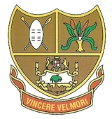 Border Bulldogs | Logopedia | Fandom