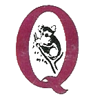 Queensland Reds | Logopedia | Fandom