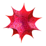 Mathematica | Logopedia | Fandom