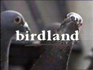 Birdland | Logopedia | Fandom