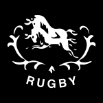 Natal Sharks | Logopedia | Fandom