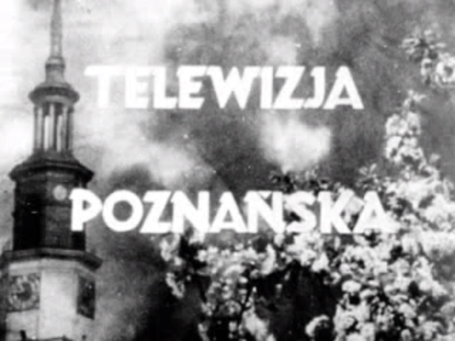 TVP3 Poznań | Logopedia | Fandom