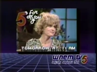 WNEM-TV/Other | Logopedia | Fandom