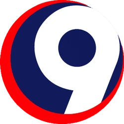 Logo Red And Blue Lines