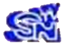 SNTV (Vietnam) | Logopedia | Fandom