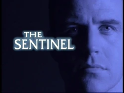 The Sentinel (1996 TV Series) | Logopedia | Fandom