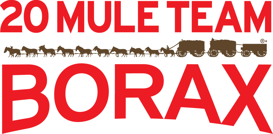 Mule Team Borax Amazon.com: 20 Mule Team Borax 65 Ounce Detergent