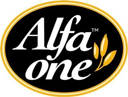 Alfa One | Logopedia | Fandom