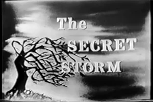 The Secret Storm | Logopedia | Fandom