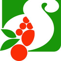 albertsons logopedia