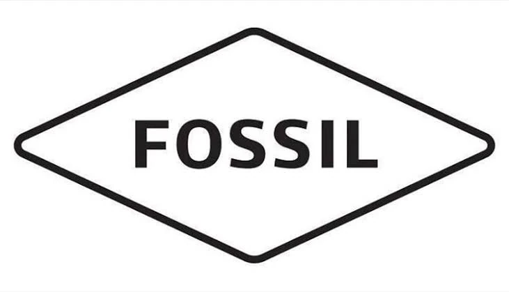 Fossil | Logopedia | Fandom