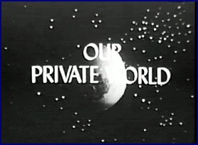 Our Private World | Logopedia | Fandom