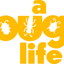 Image Disney Channel 2014png Logopedia Fandom Powered By Wikia