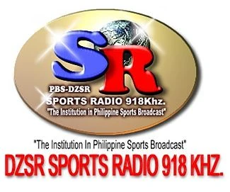 DZSR | Logopedia | Fandom