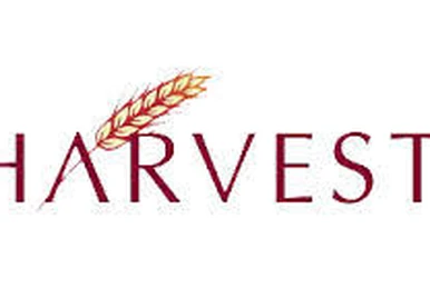 Logotipo De Focus Tv Odisha HTML5 Wikipedia