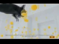 2x2 (Russia)/On-screen bugs | Logopedia | Fandom